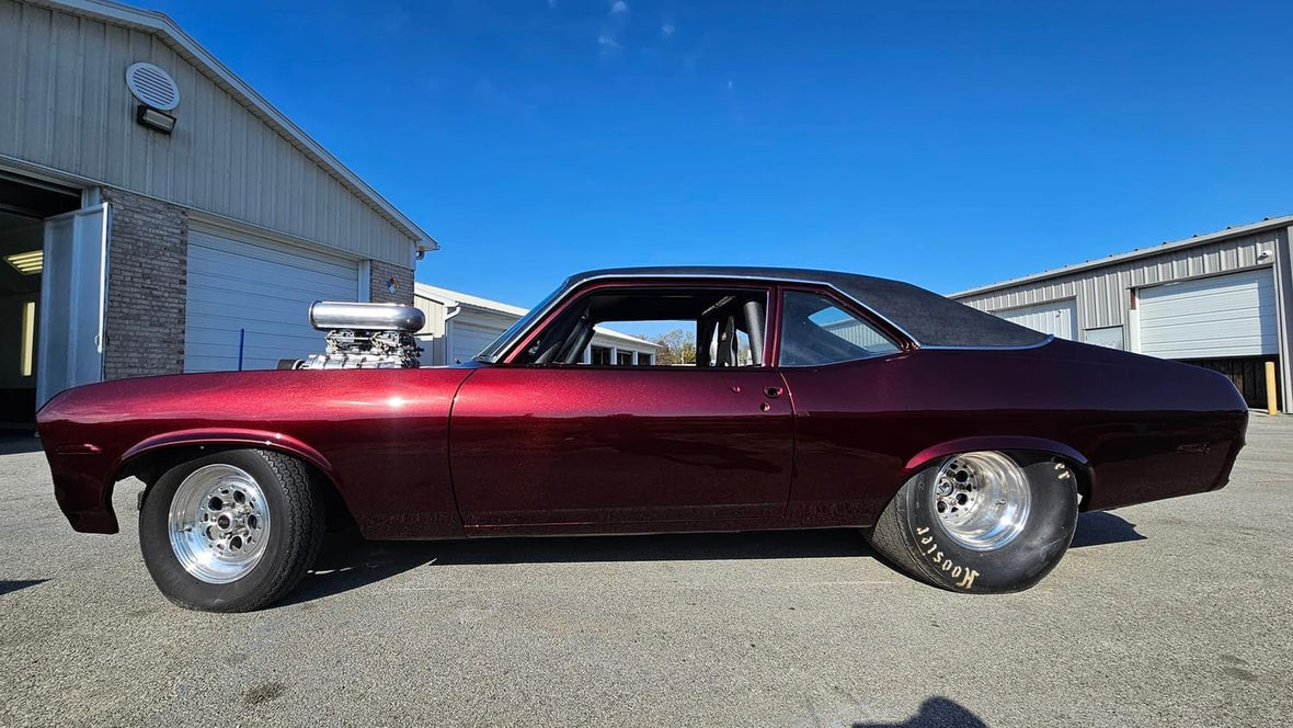 Revolutionary Colors | RevoltAutoPaint